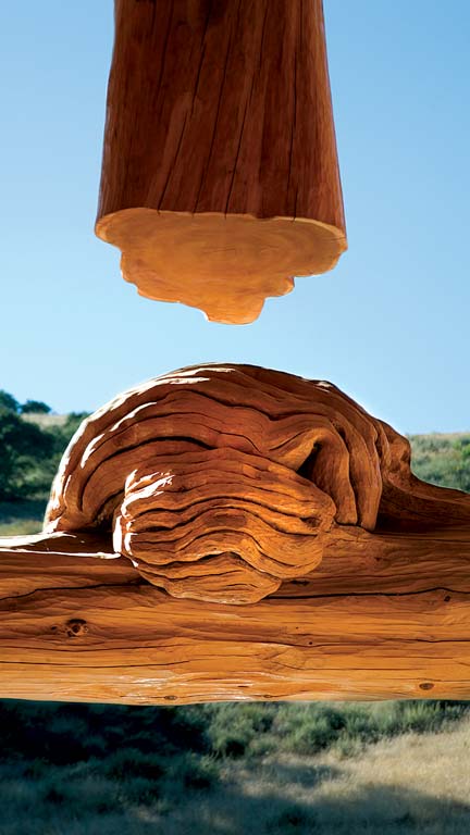 A Handcrafted Energy-Efficient Log Home in California